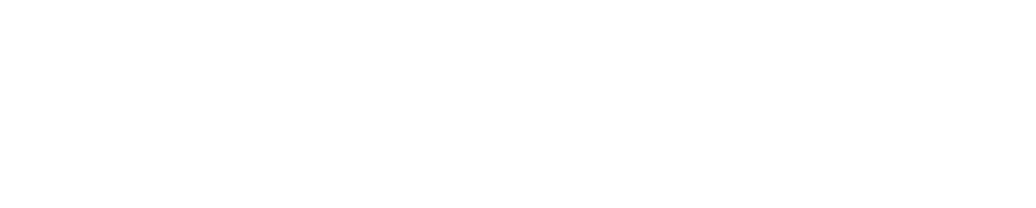 MooWoodle Pro - DualCube